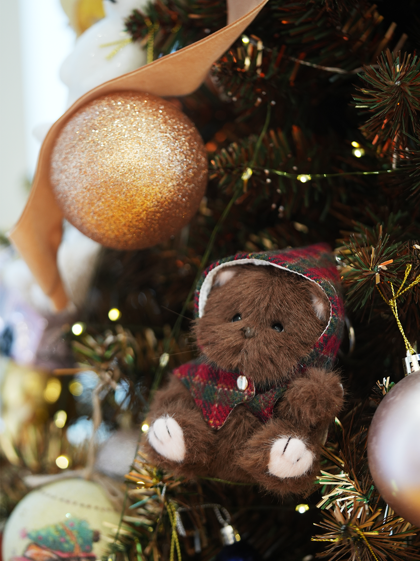 The Official TeddyTales Store | TeddyTales