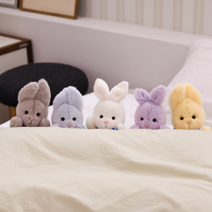 The Official TeddyTales Store | TeddyTales