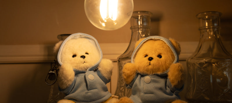 The Official TeddyTales Store | TeddyTales