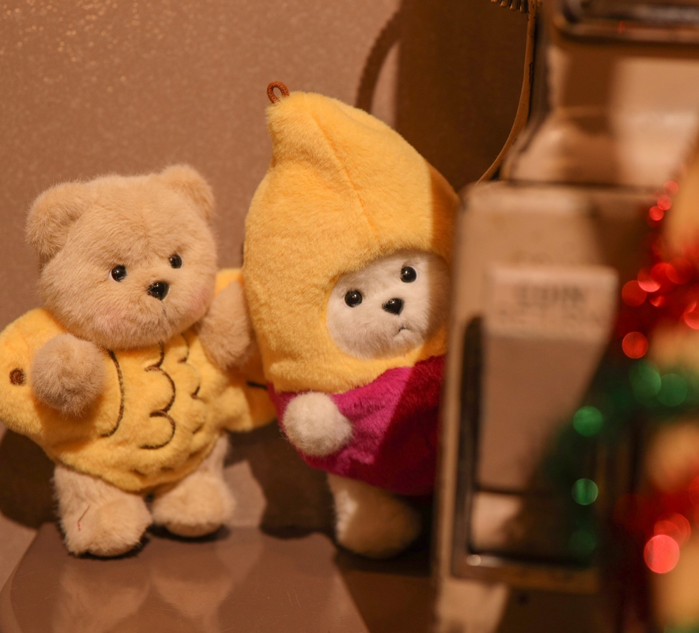 The Official TeddyTales Store | TeddyTales